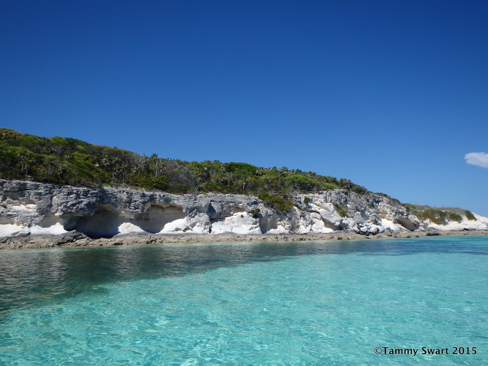 Things we did today...: June 2015