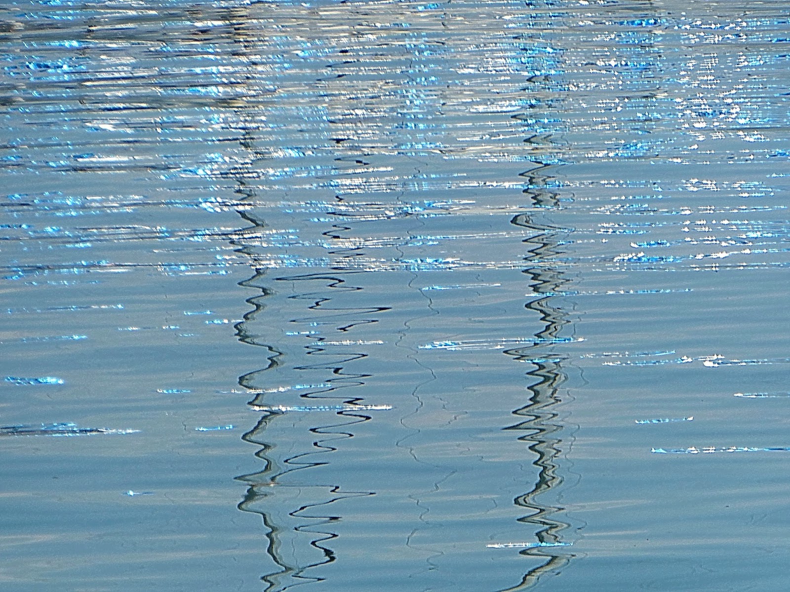 Aqua Reflections - Reflections and Nature