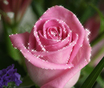 Ashley's Designs: Tutorial (Adding Alien Skin Xenofex 2 Constellation)