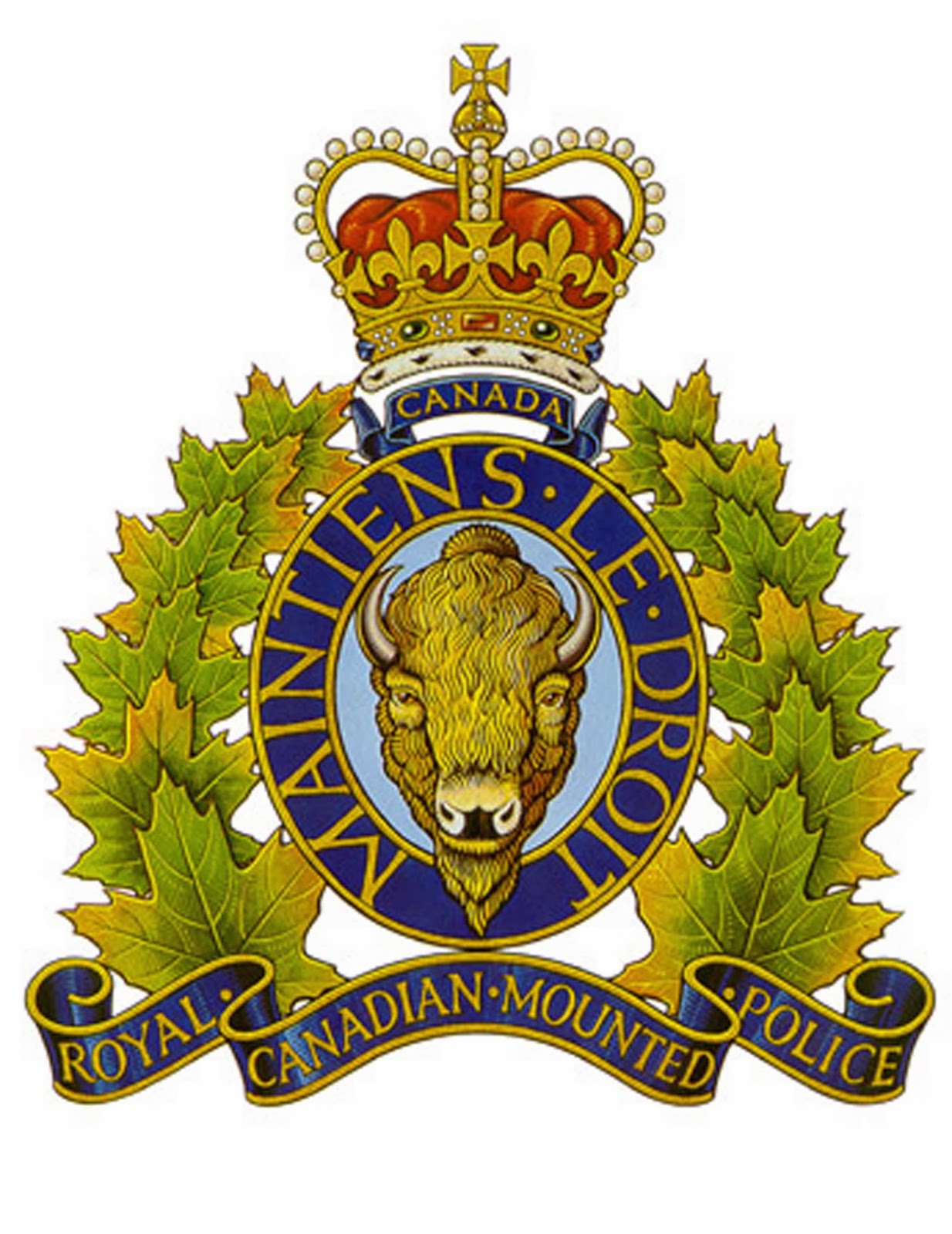 Police Association President Weighs In On RCMP Vs. Municipal ...