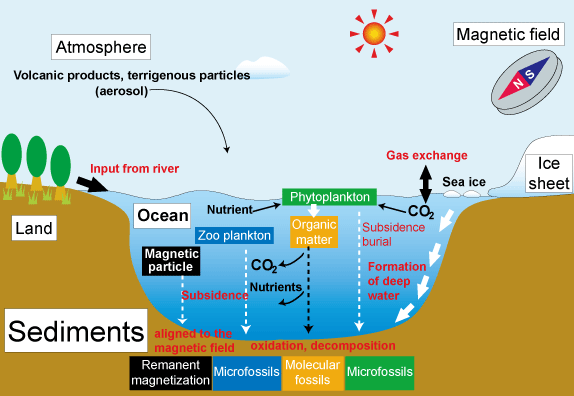 Jenis Sedimen Dasar Laut - Guru Geografi