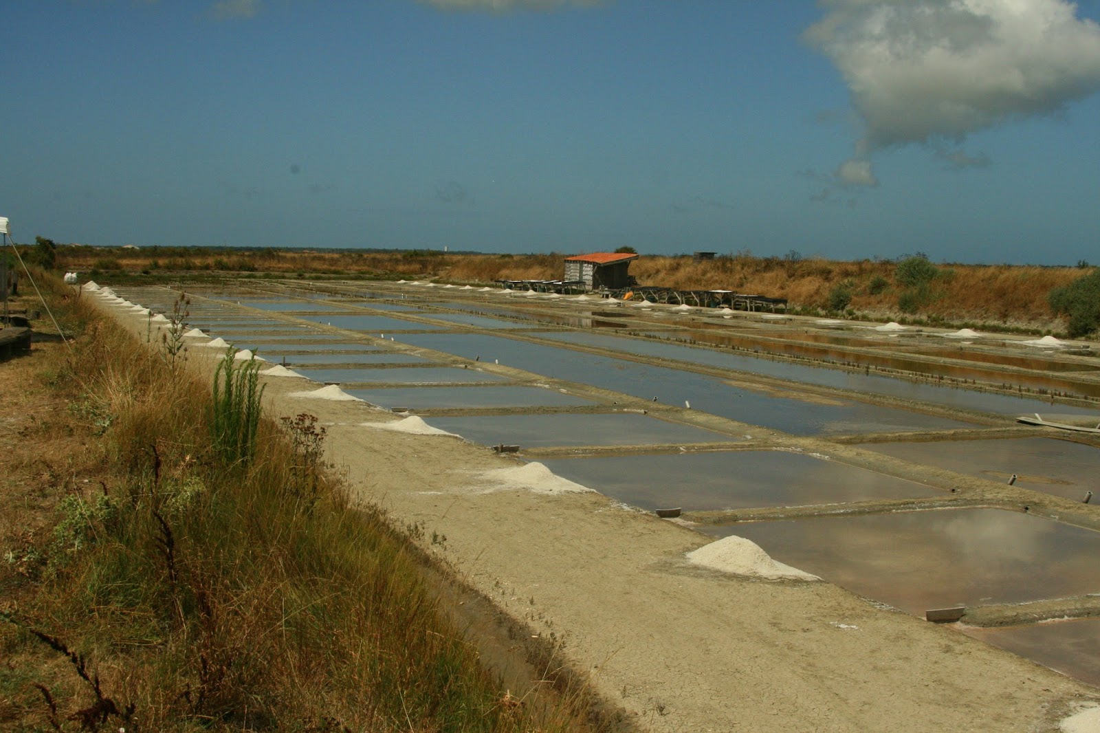 American Mom in Bordeaux: Ile de Re -Part I - Loix & the Salt of the ...