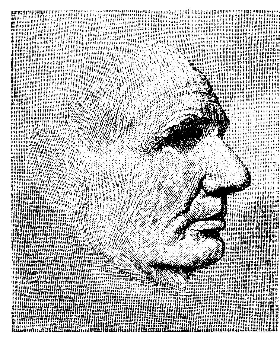 President Abraham Lincoln