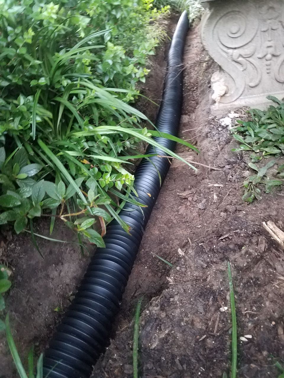 The Roediger House: A Few Draining Lines about a Drain Line