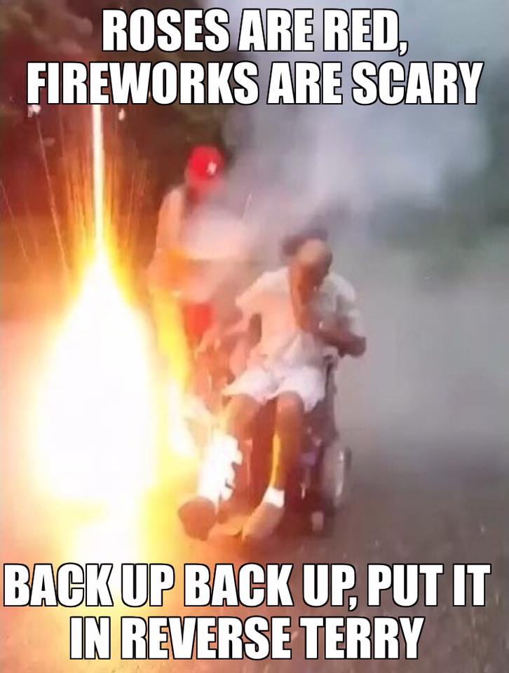 Memes Roses are red firework are scary back up back up, put it in ...