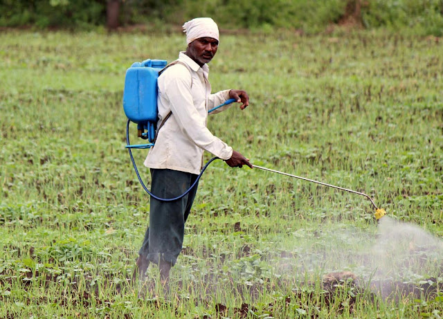 Stock Pictures: Pesticide Spraying