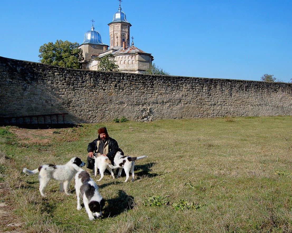One face - one place: Canisa Mănăstirii Bârnova- Iaşi