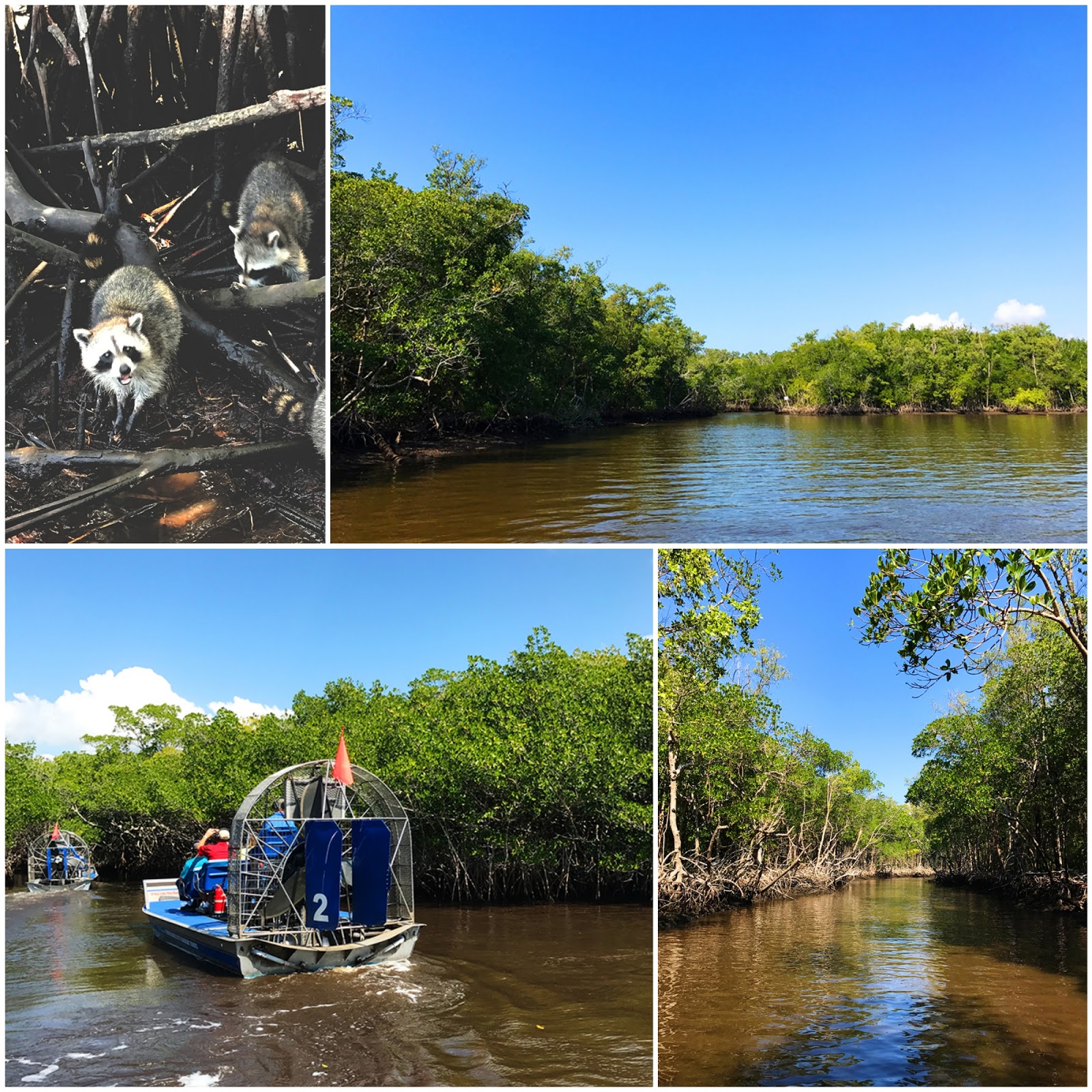 Guten Tag, ich will mein Leben zurück!: Wenn Helden reisen... *Key ...