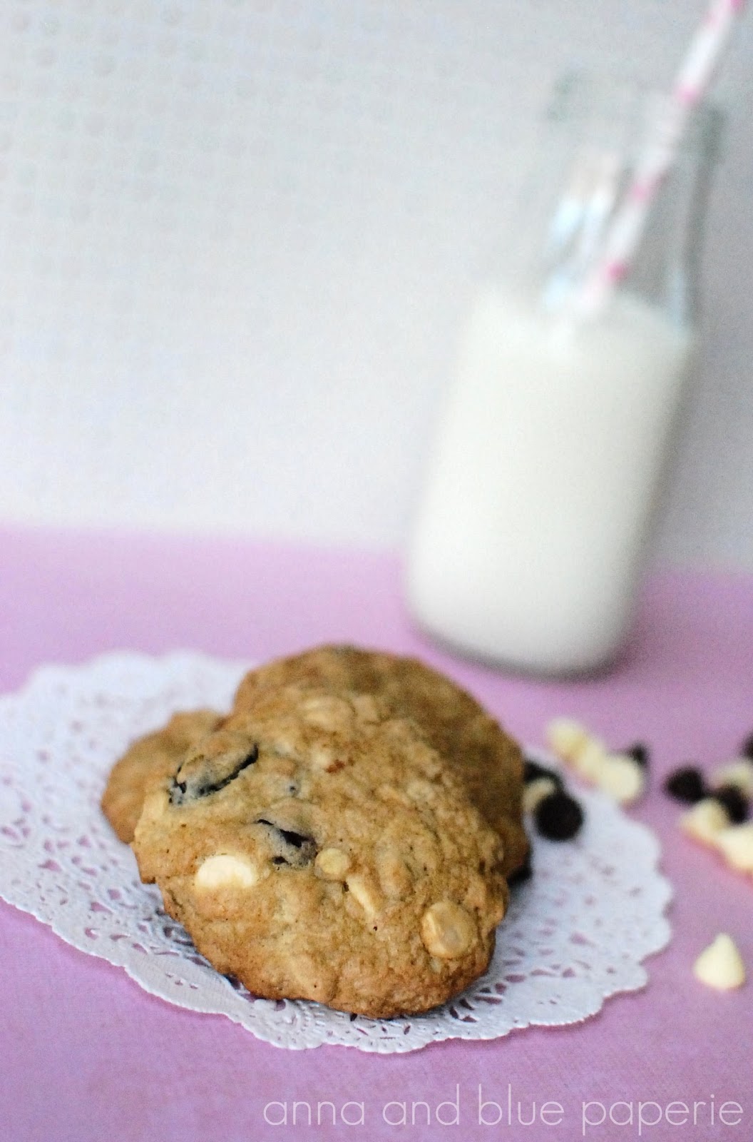 anna and blue paperie: {Recipe} Yummy Oatmeal Cranberry Chocolate ...