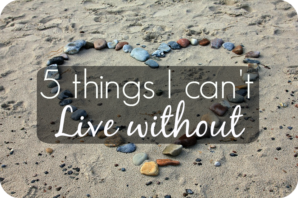 5 Things I Can t Live Without Glitz And Glamour Makeup