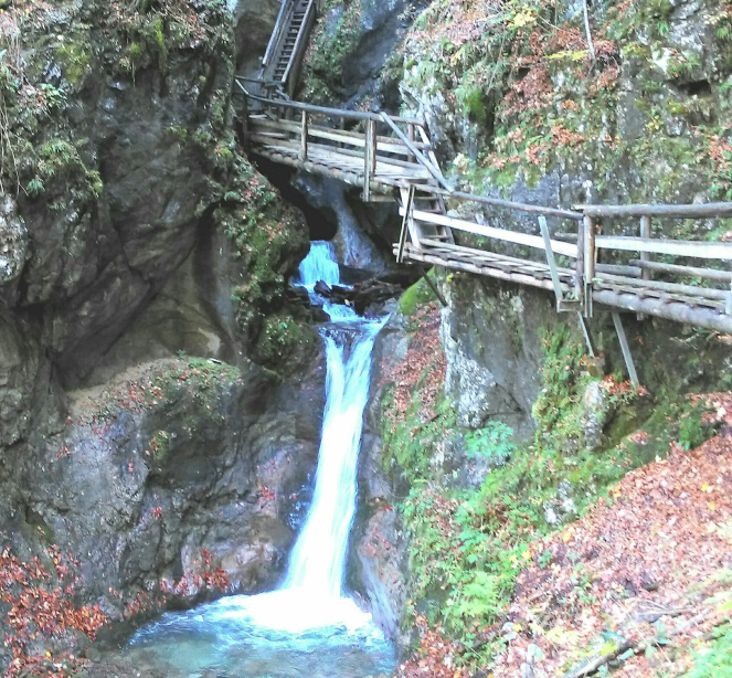 Oberösterreich: Vogelgesang-Klamm – Auf den Spuren einzigartiger ...