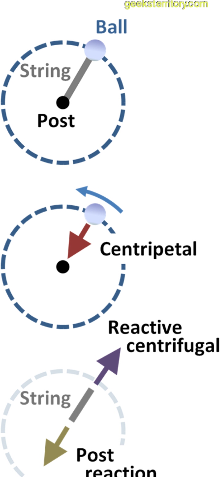 Centripetal Centrifugal Force Differences Comparison And Examples centripetal-centrifugal-force-differences-comparison-and-examples
