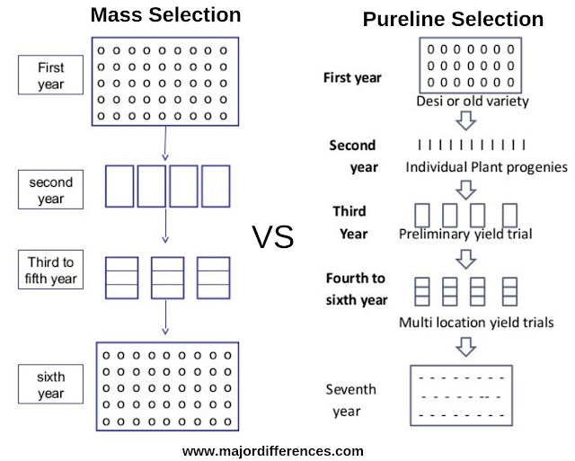 Difference between Mass Selection and Pureline Selection (Mass ...