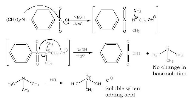Uji Kualitatif Amina, "Hinsberg Reaction"