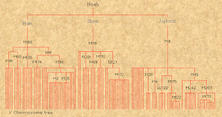 Creation Science Talk: DNA suports the Biblical; Account of Babel