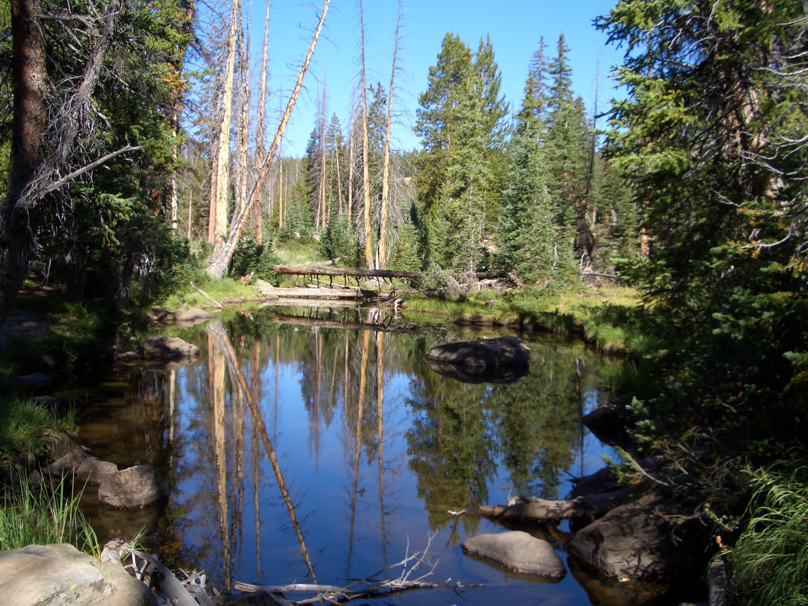 The Rod: Don't refuse the waters of Shiloah that go softly