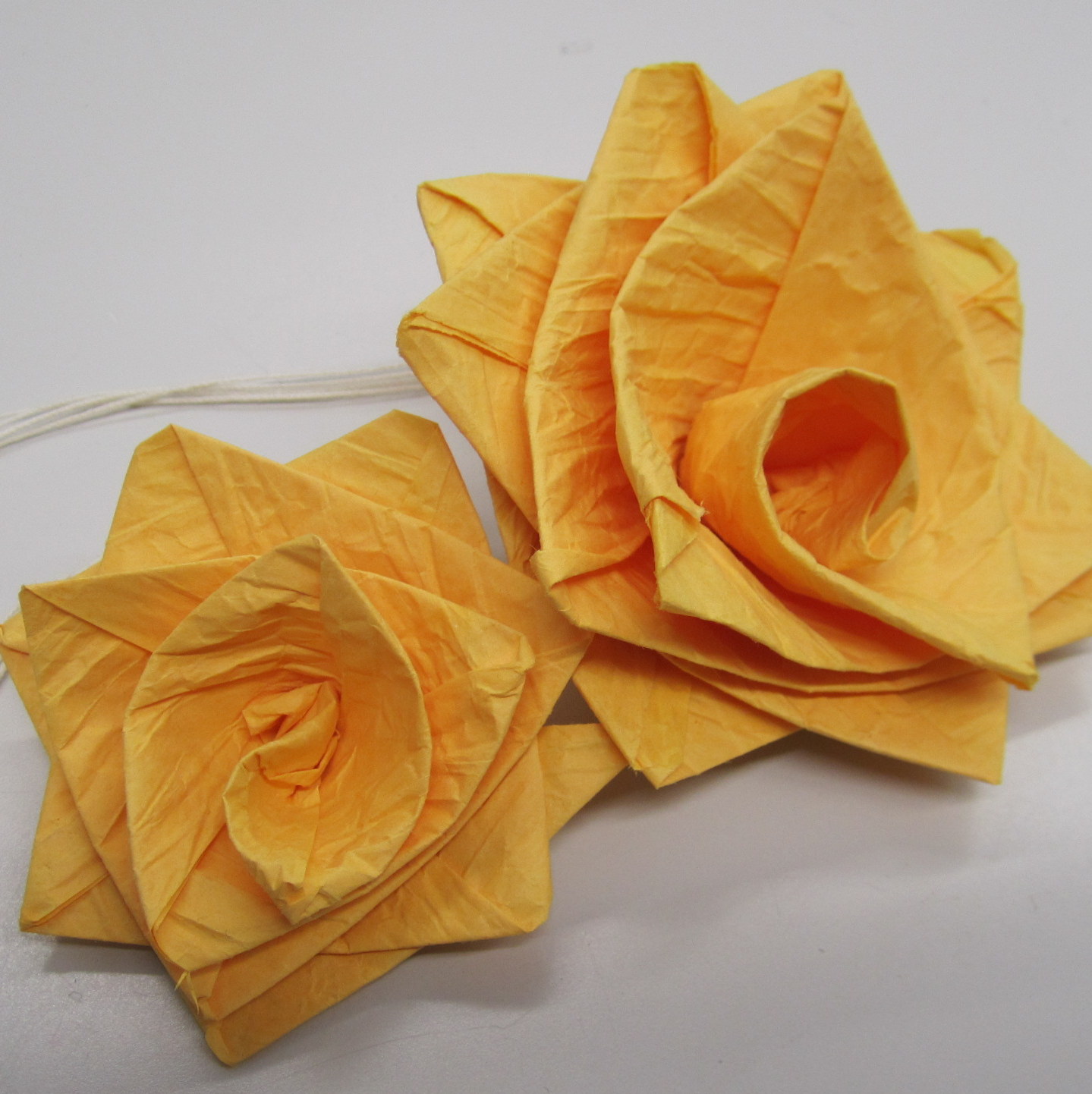 Singeri soikoon: Hannanruusu paperinarusta