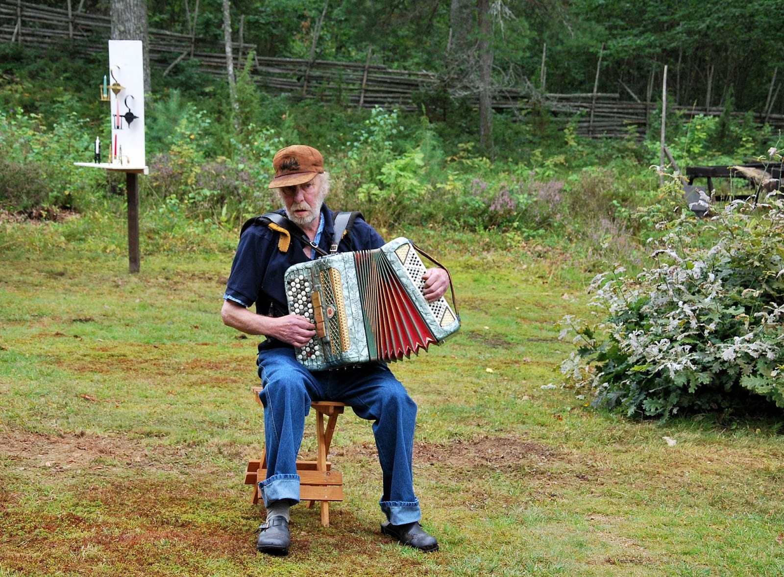 Tokarparns bilder: Dragspelsmusik