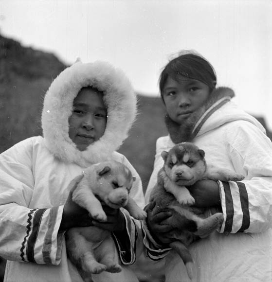 White Wolf : Rare Century-old images of the Inuit people by the country ...