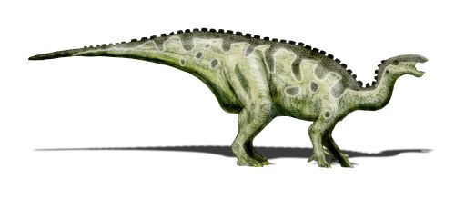 Los animales en la prehistoria: Animales prehistóricos con la letra D