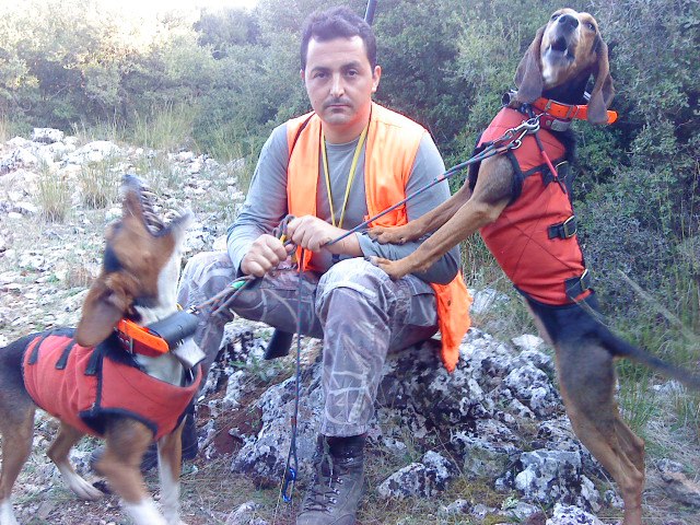 γιλεκα σκυλων ,γιλεκο προστασιας σκυλων αγριογουρουνου,gps garmin astro 320