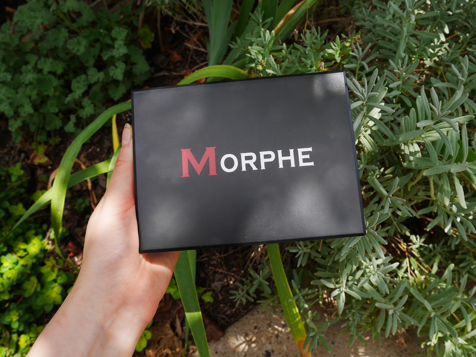 Morphe Custom Pallet Review | Seed.