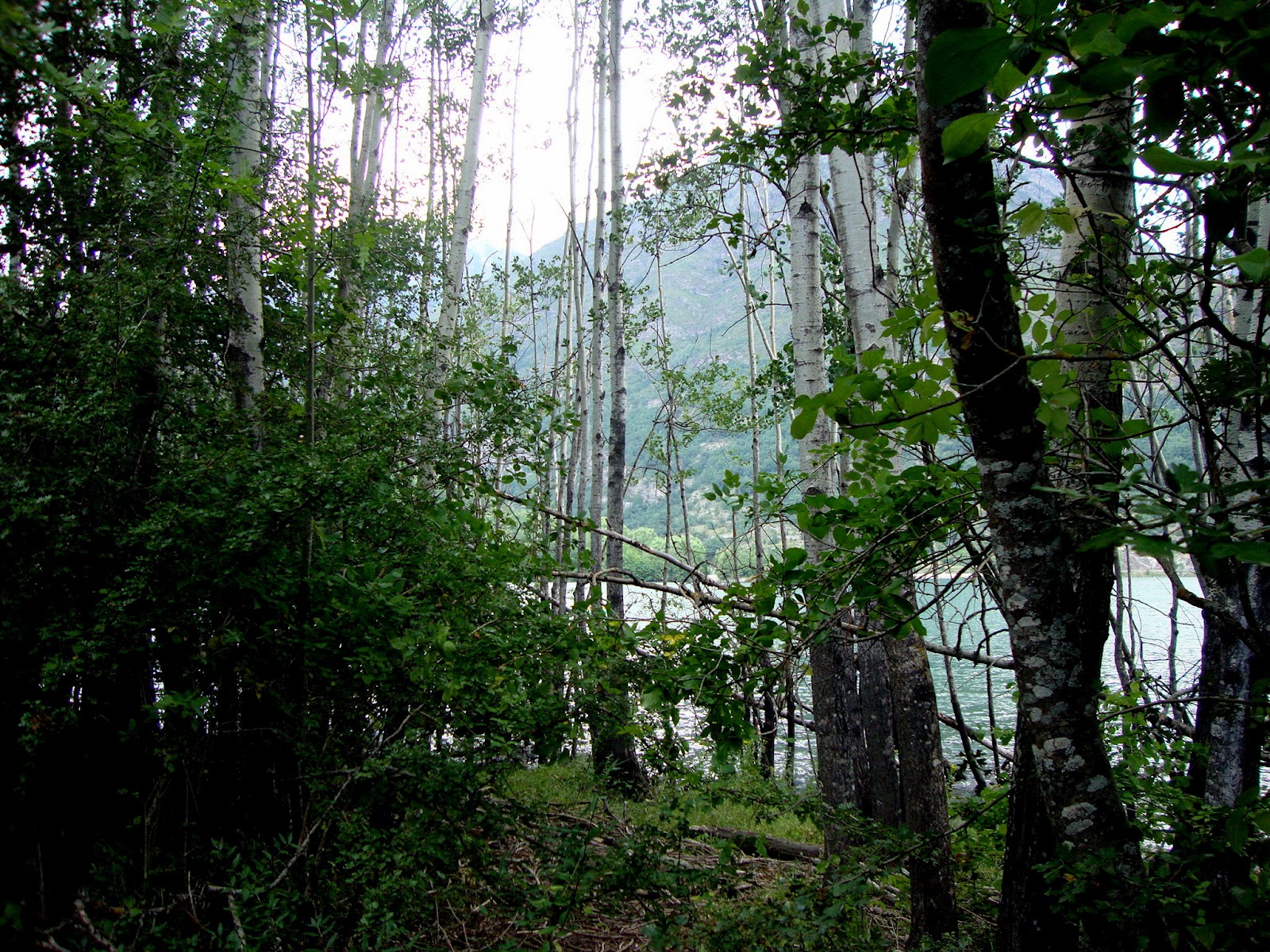 Eriste ( Vall de Benasque)