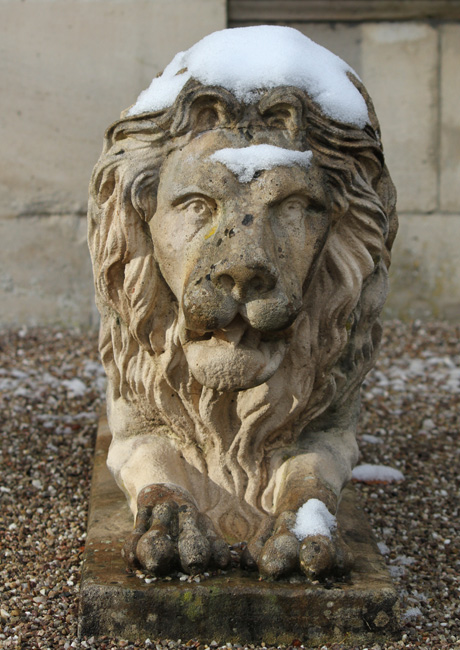 Vu par MamLéa: La Raffe : rencontres dans le parc