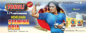 Rumah Tasikmalaya: OBAT KUAT HERBAL - TONGLI - Tongkat Ali - Eurycomae ...