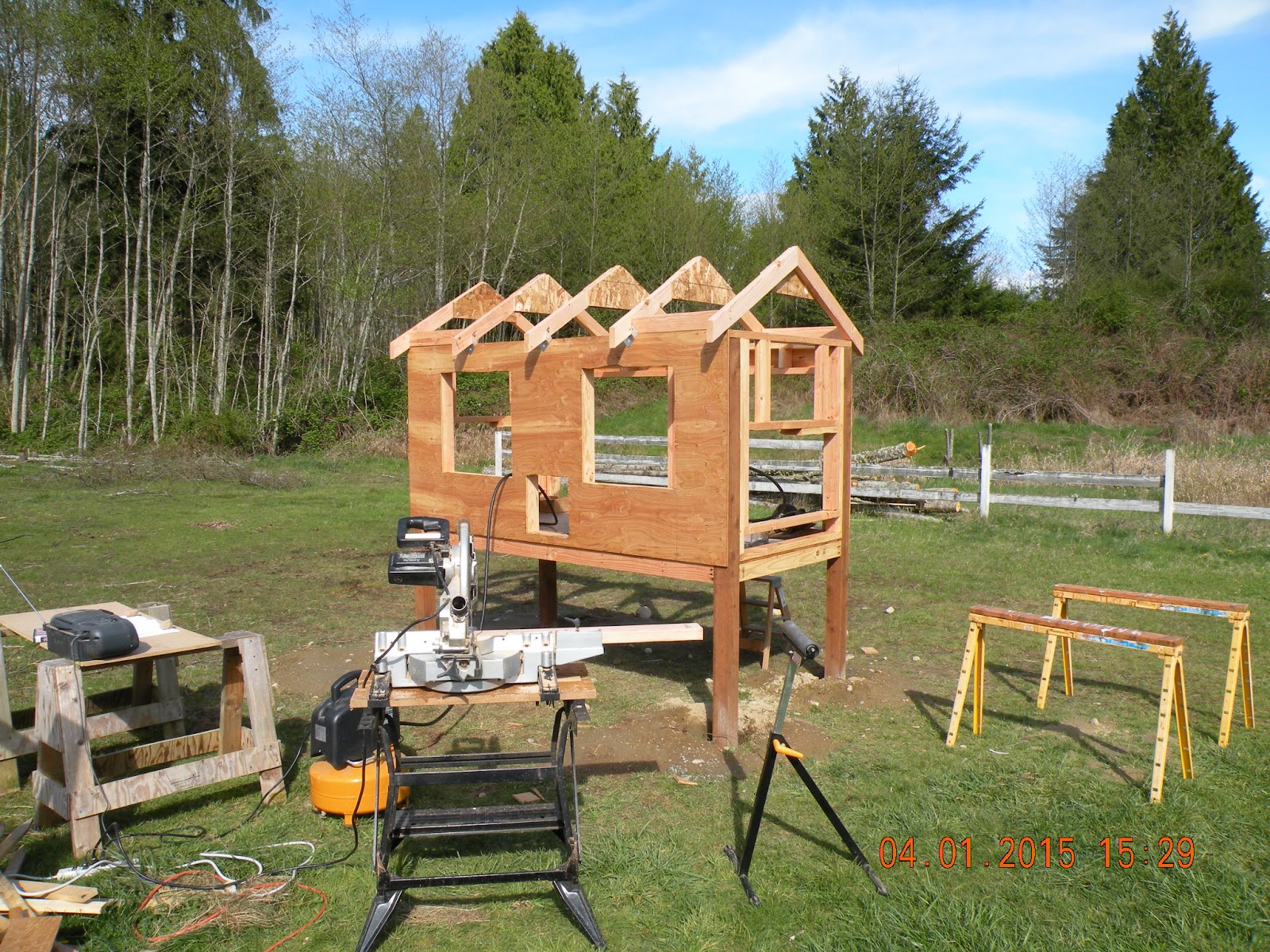 Bufflehead Pond - Life on the farm: Chicken Coop Construction Part 2