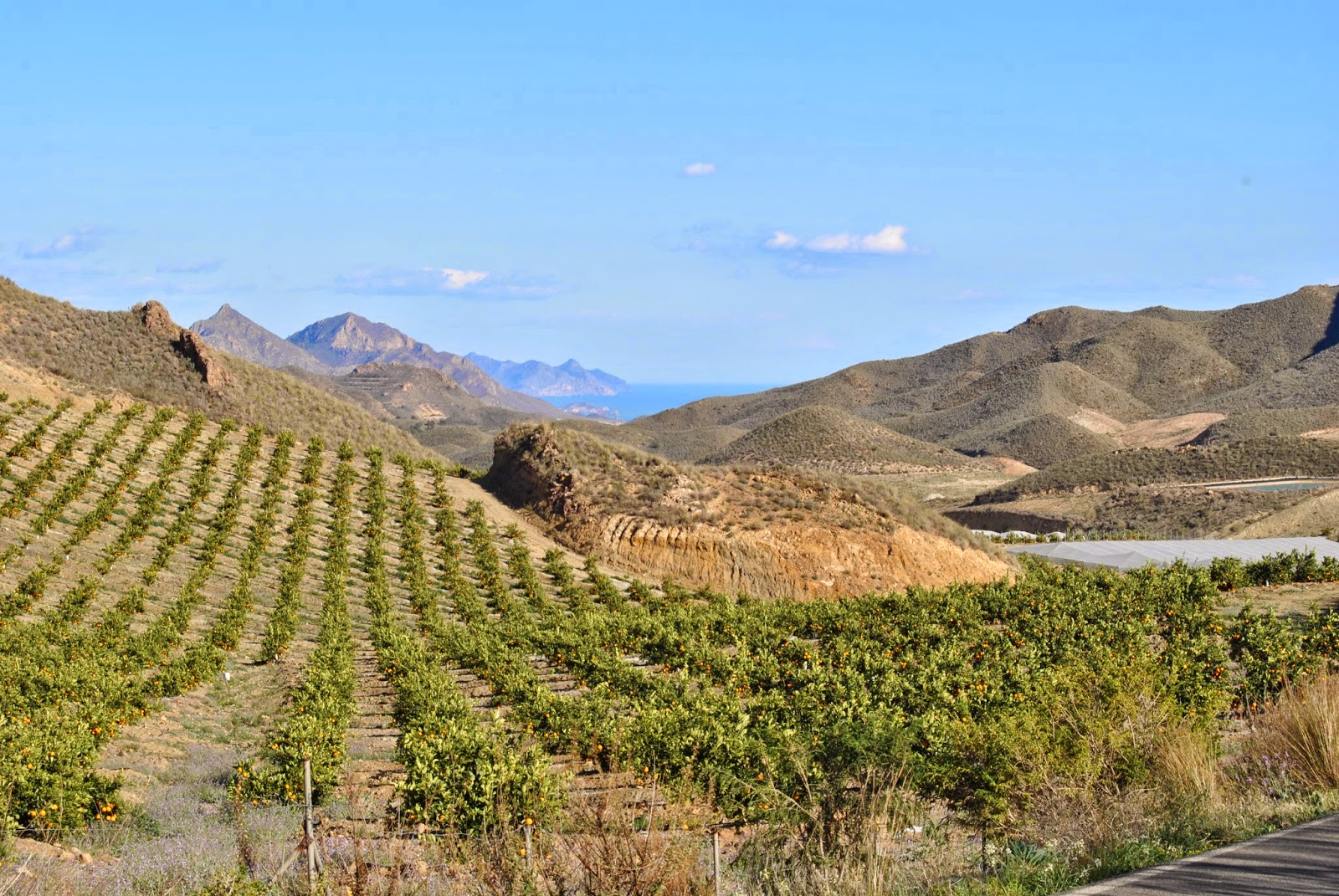 Greg Long, visual artist, Ireland