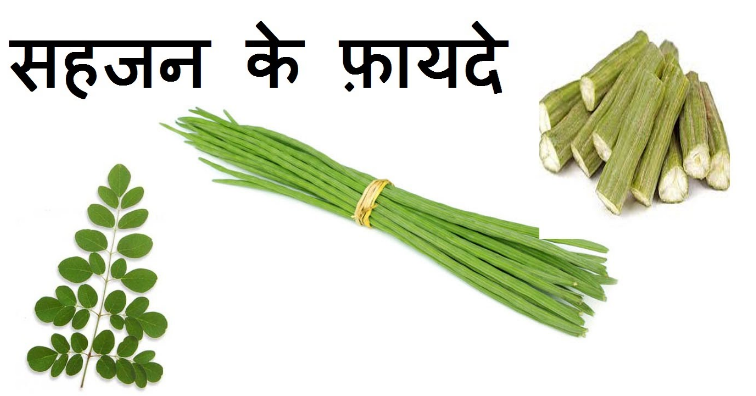 Ayurveda Home and Remedies with Nature: सहिजन खाने के लाभ और फायदे ...