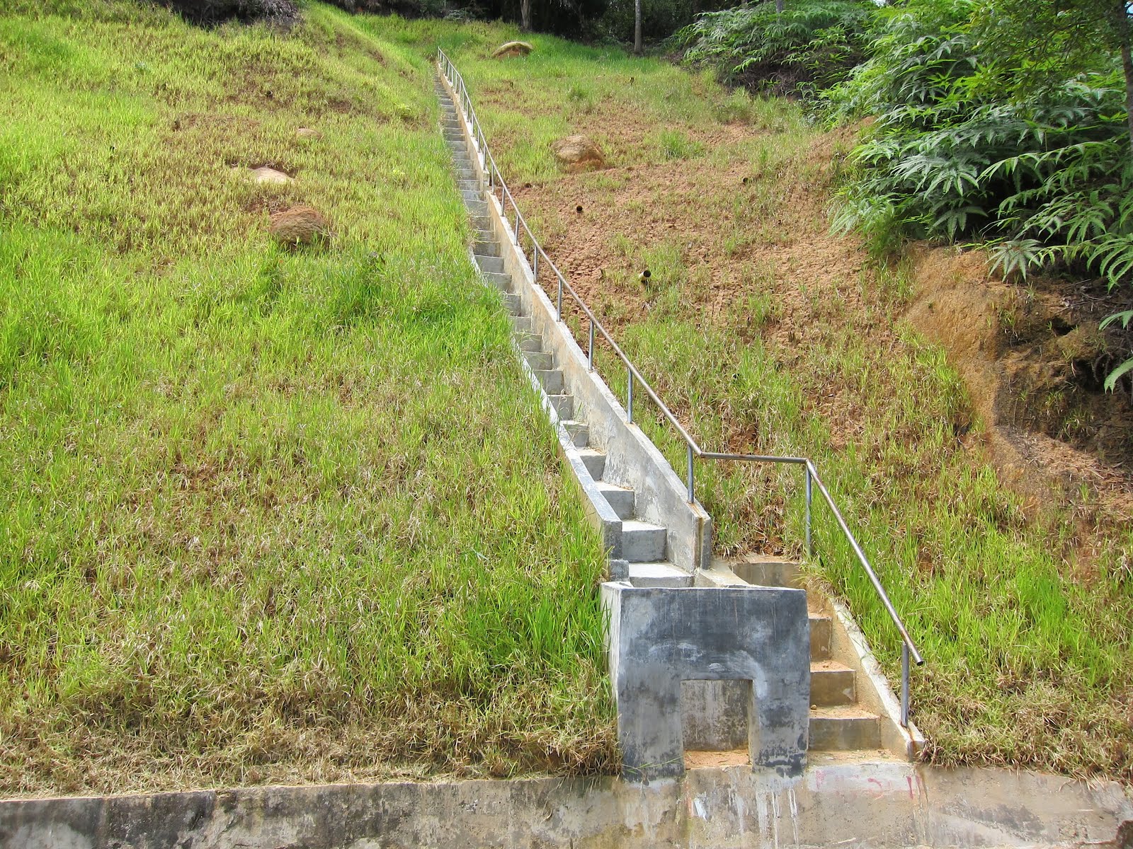 Hello Talalay: A Draining Experience