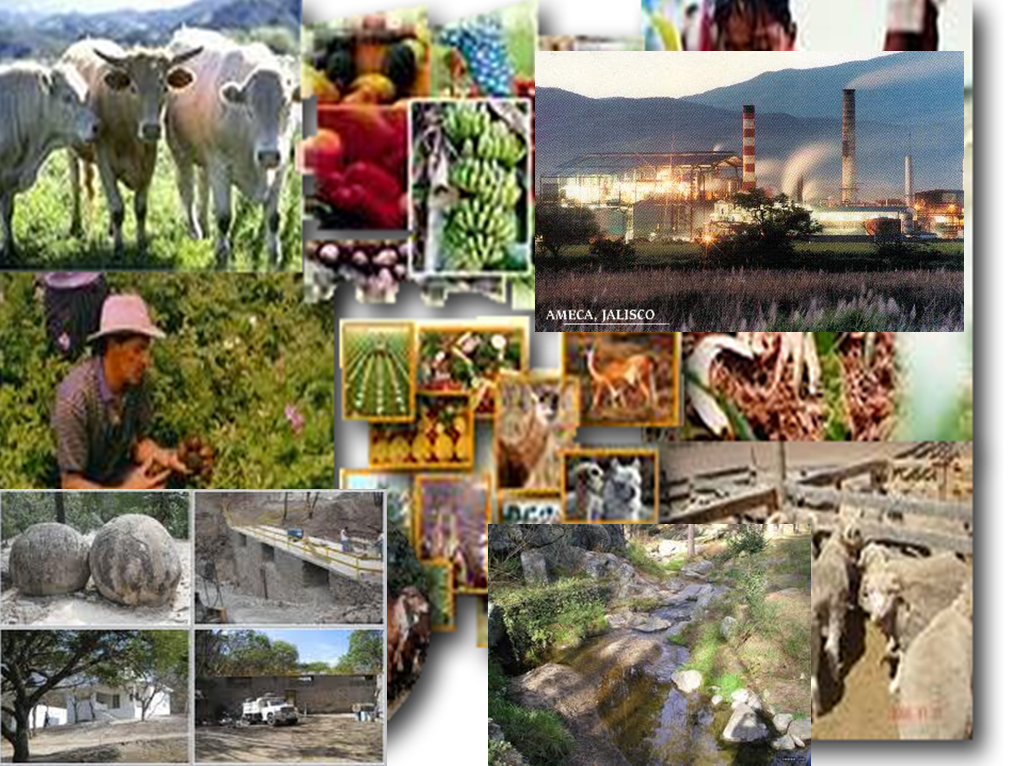 Sector social - Mind42