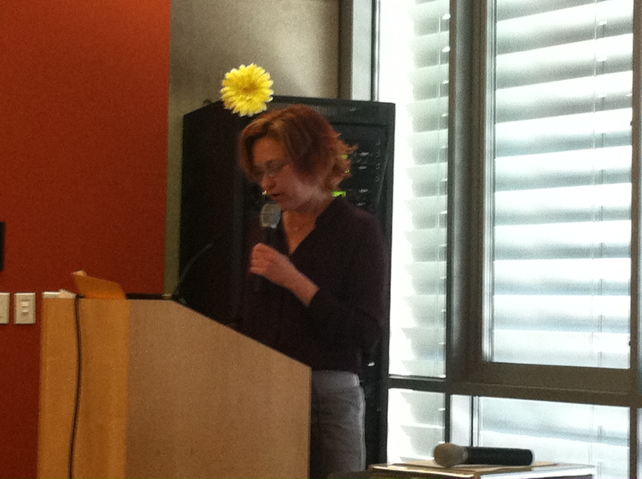 virtualpolitik: Feminist IT: Legacies (Leigh Star, Beatriz da Costa ...