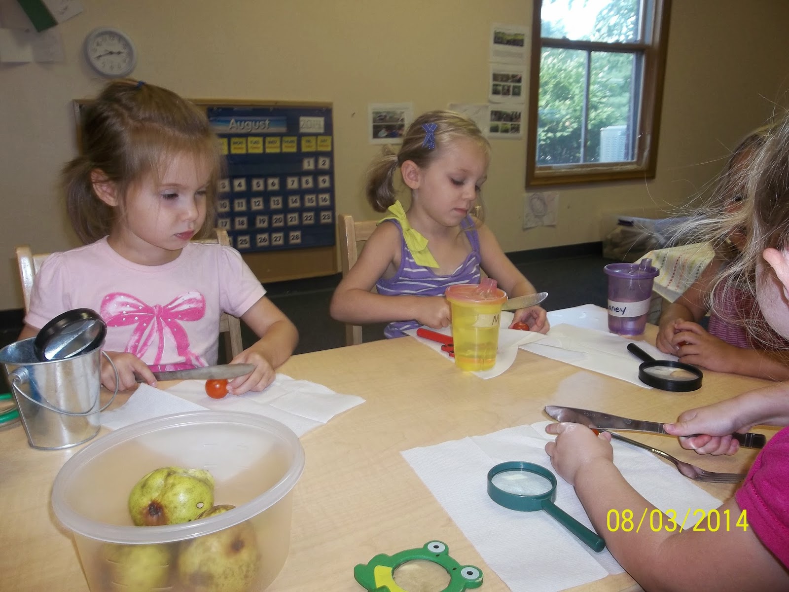 ELC Preschool