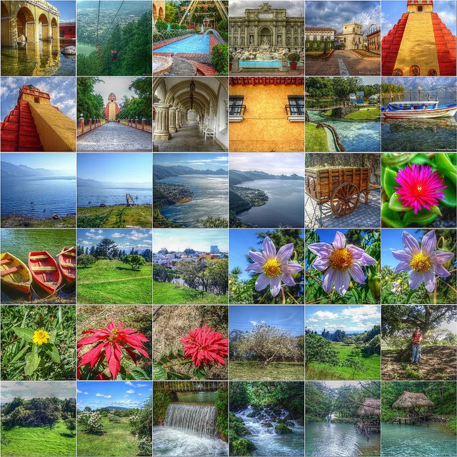 Natural Plants: Irtra Xocomil y Xetulul