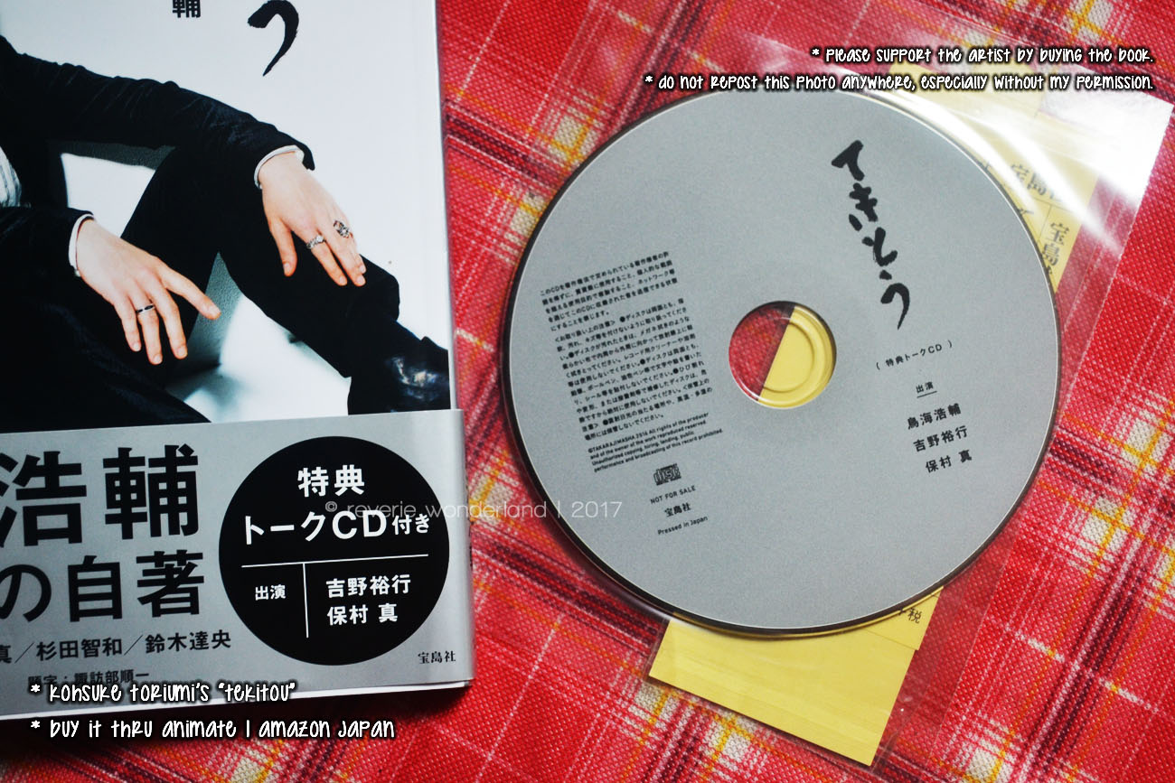 Kousuke Toriumi's 20th Anniversary Book - Tekitou - Reverie Wonderland