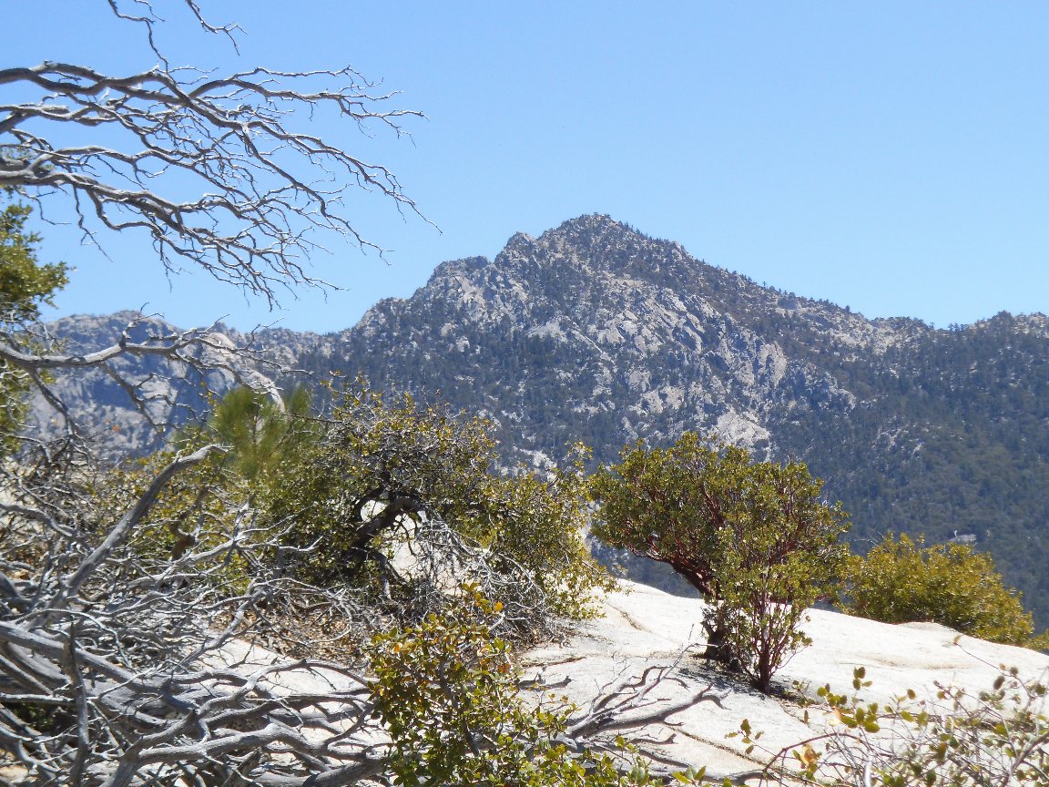 Hiking with Hawks: Suicide Rock in Idyllwild