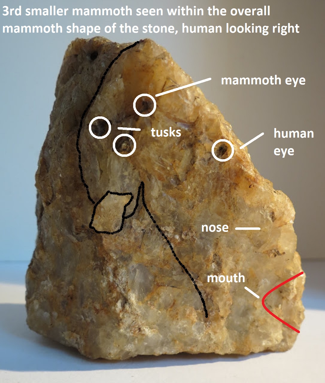 Archaeology of Portable Rock Art: Buckeye Lake, Ohio, quartz sculpture ...