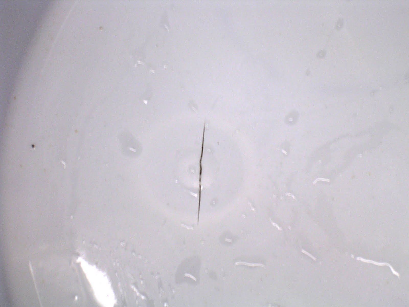 Living Prepared ---: Plastic Buckets*