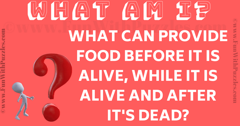 Clever Riddle for Adults with an Answer