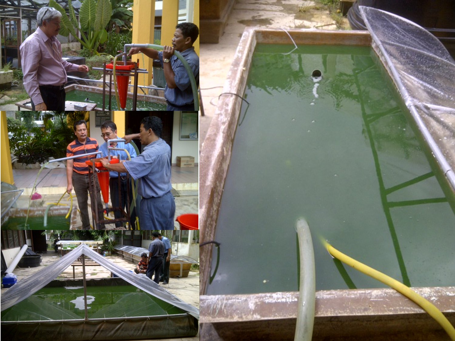 Dr Mat: ideas, vision, determination, hard work, creativity, innovative ...