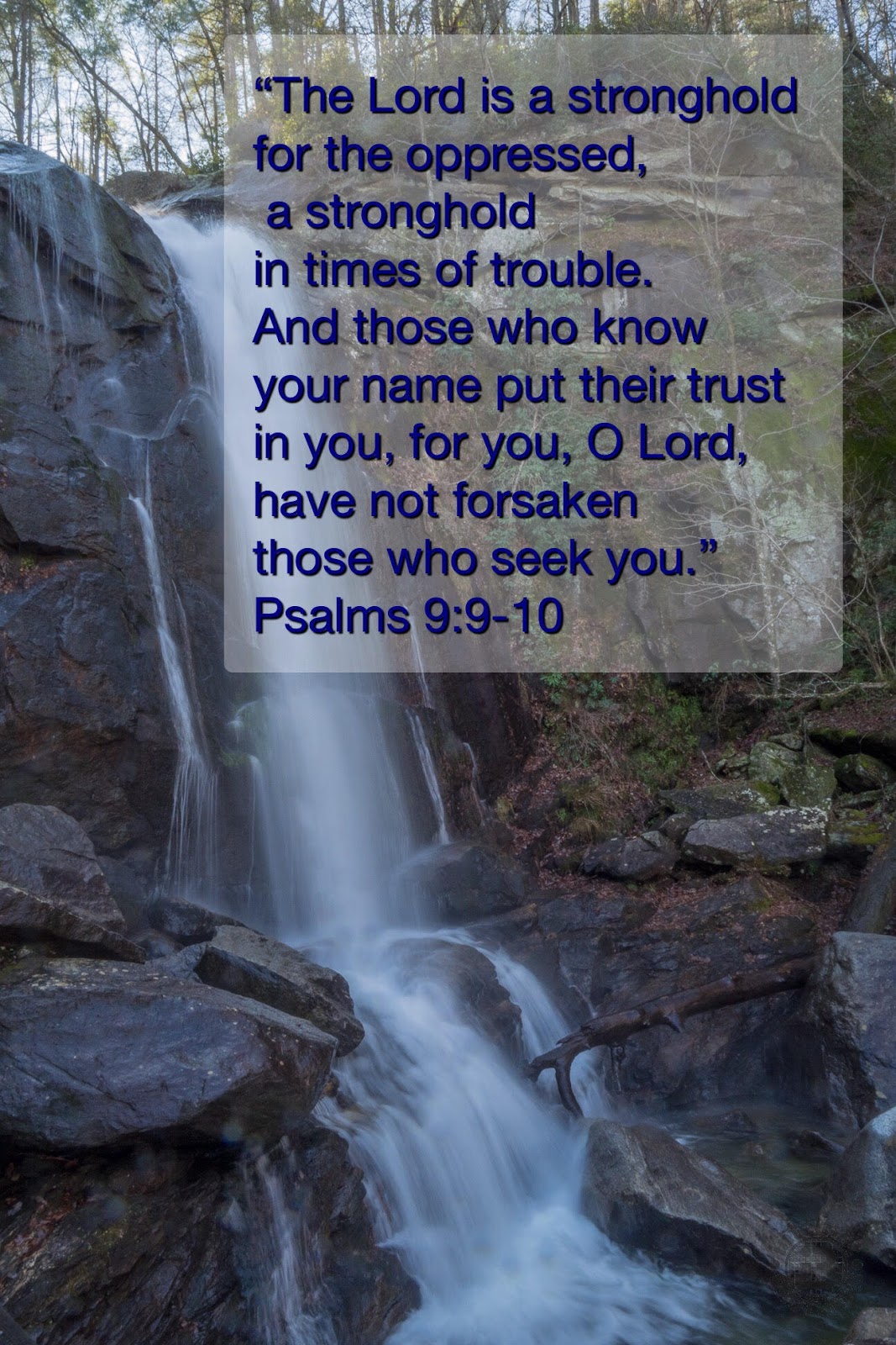 On The Throne Psalms 9 12 Women In The Word On The Throne Psalms 9 12 Women In The Word
