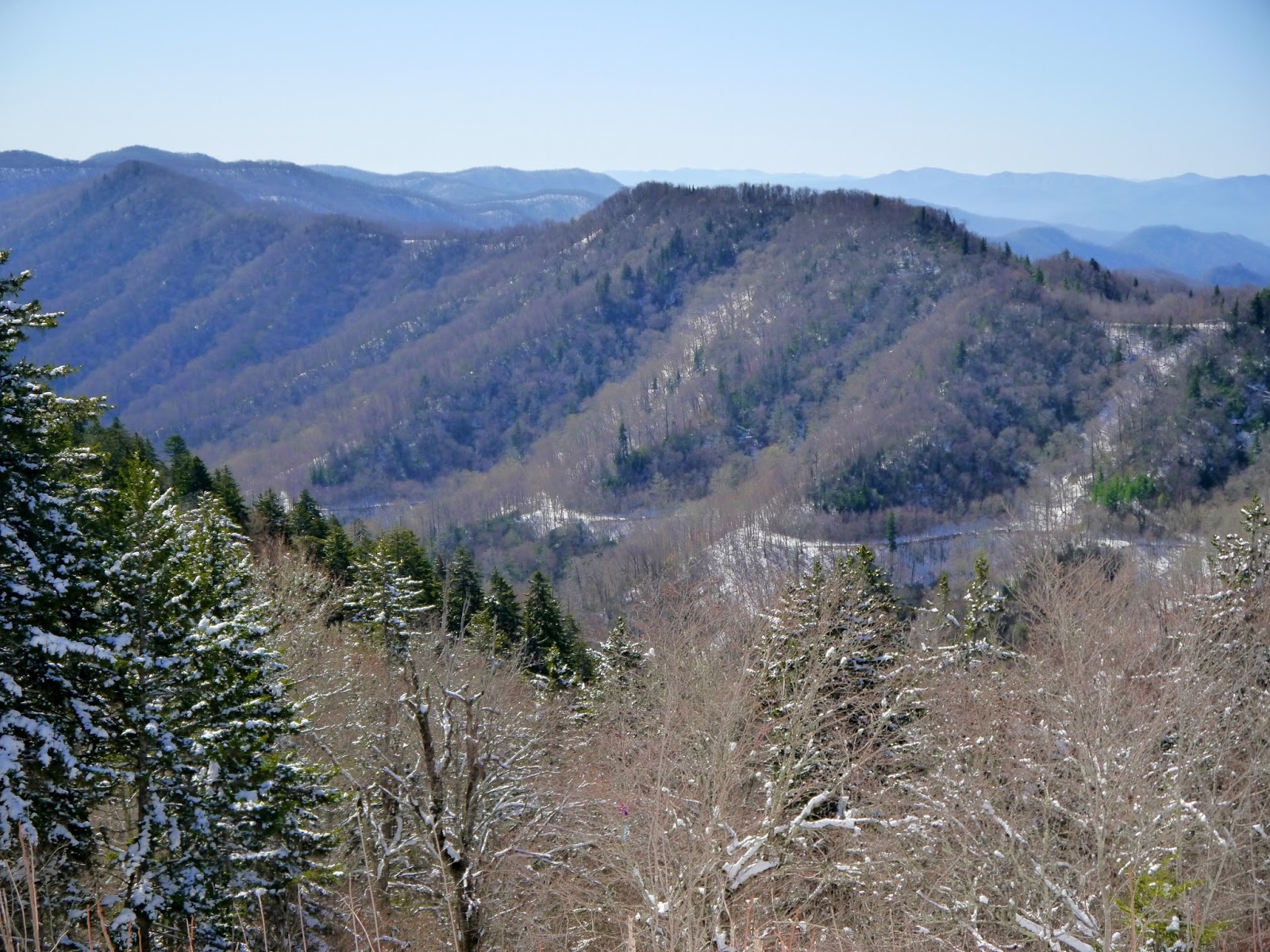American Travel Journal: Early Spring on Newfound Gap Road - Great ...