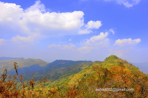 Beauty of Nature: Tajingdong : The highest hill of Bangladesh