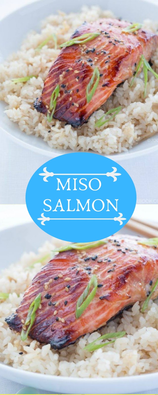 Miso Salmon Recipe