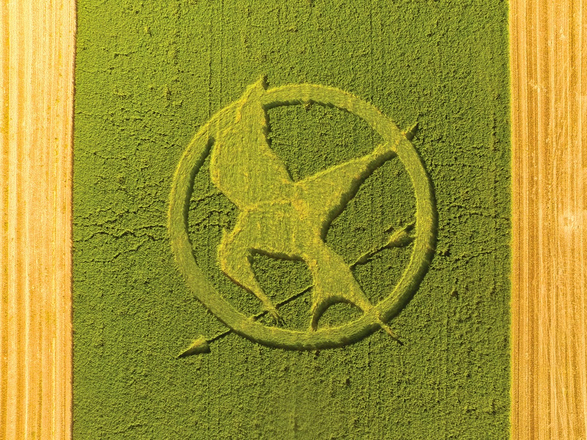 The Hunger Games France: Un crop circle du Geai Moqueur aperçu en ...