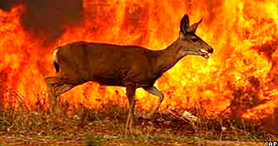 Farlef Chronicles: 2016