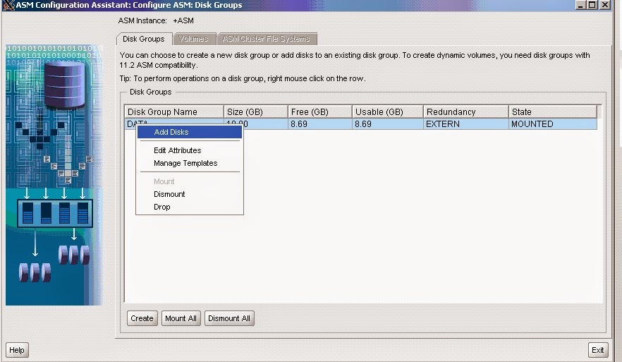 Oracle Database and Oracle APPs: Upgrading ASM from Oracle 10g to ...